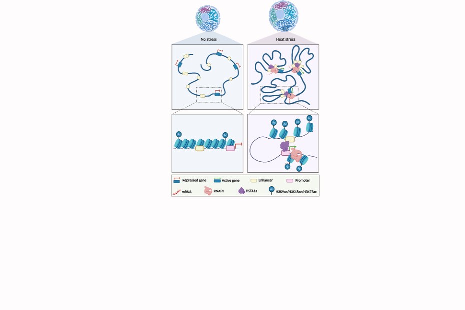 Ips2 Ametys Web Java Open Source Cms